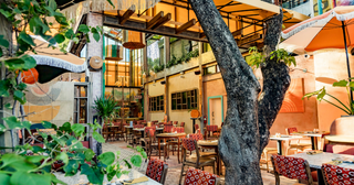 Interview with Tom Aviv: MasterChef Israel Champion