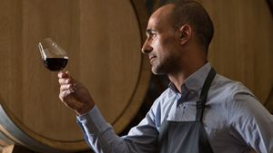 Career Path After Waiter: Best Jobs & Next Steps